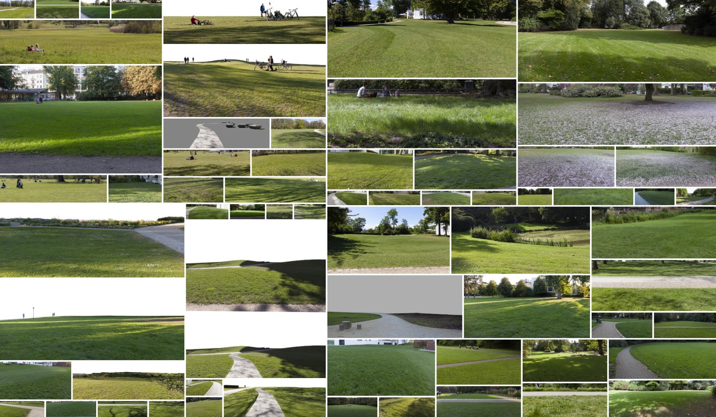 Lawn grass collection 01